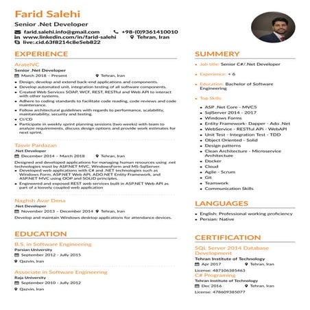 Farid salehi - CV - .Net Developer | PDF