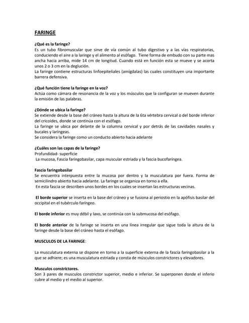Faringe | PPT