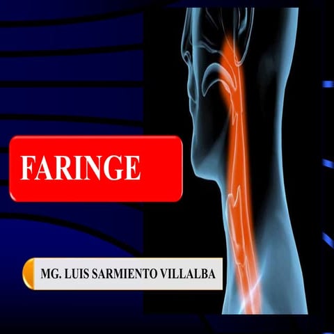 Anatomia de la orofaringe | PPTX