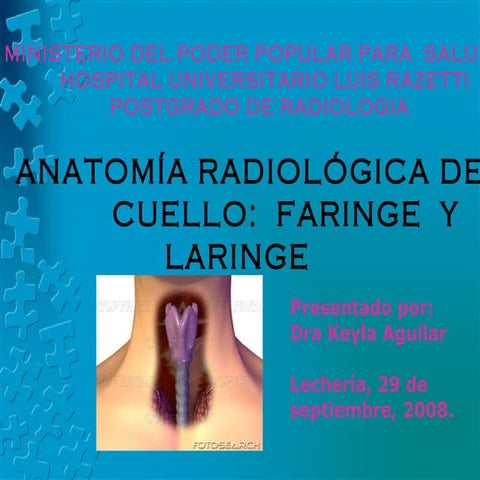 Senos Paranasales Imagenología | PPT