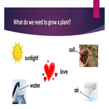 What is Farm? Different types of Farm.pptx