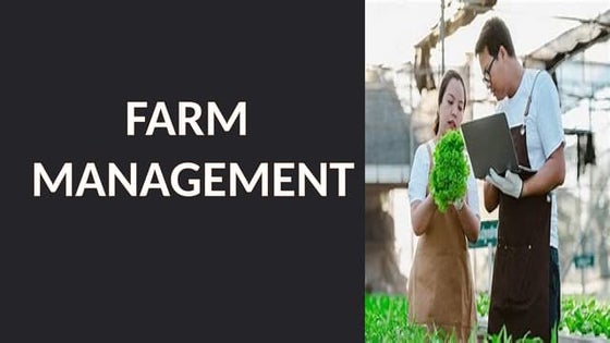 Farm planning and budgeting | PPTX
