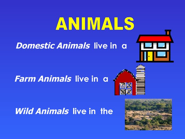 Importance of Animals in Human Life | PPTX
