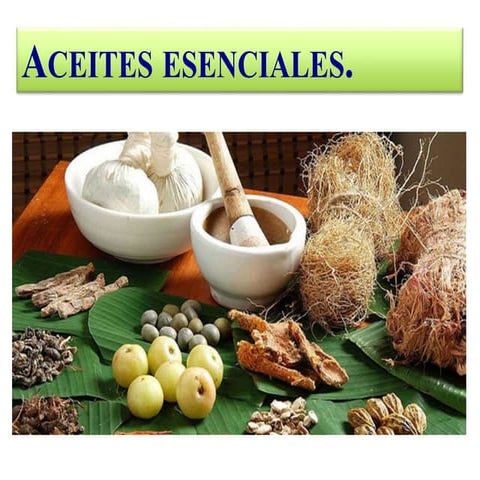 Consulting Path | PPTX