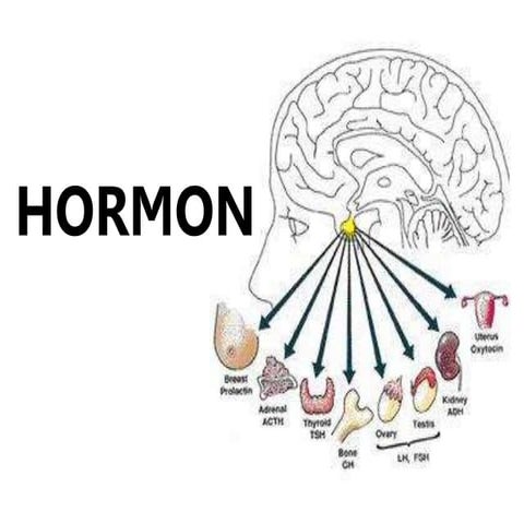 Farmakologi hormon | PPTX