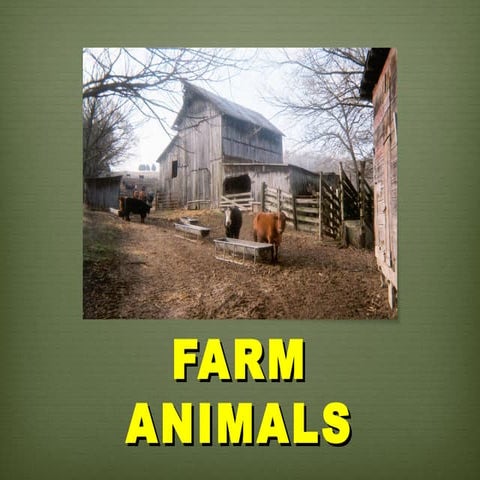 Farm animals | PPT