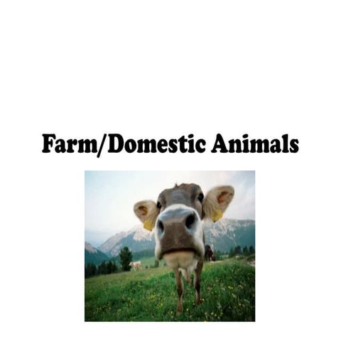 Farm animals | PPT