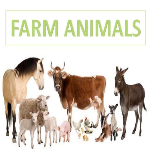 UNIT 4. NATURAL SCIENCE: FARM ANIMALS | PPTX