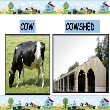 FARM ANIMALS - HOMES.pptx