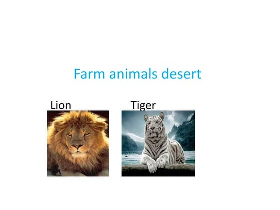 MC-L2-U10-LC1-3 Lesson 3 Animals I know 3 flashcards | PPTX