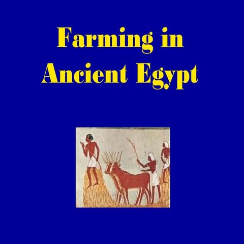 Farming and Seasons in Egypt | PPT