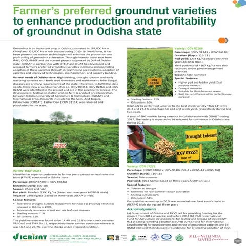 Farmer’s preferred groundnut varieties to enhance production and profitability of groundnut in ...