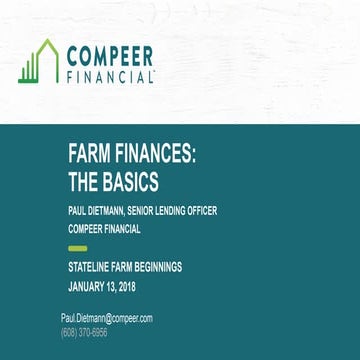 Farm Finances: The Basics | PDF