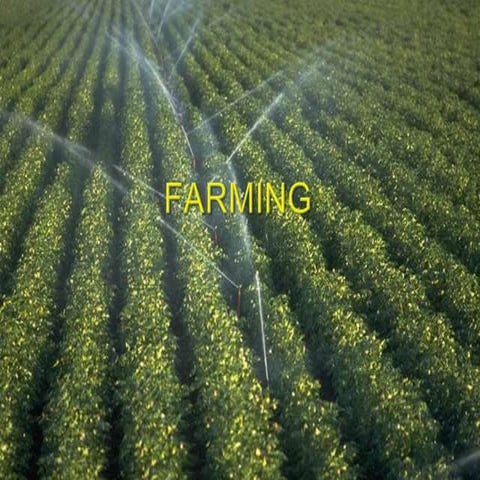 Farming | PPT