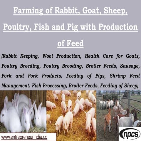 Farming of Rabbit, Goat, Sheep, Poultry, Fish and Pig with Production ...