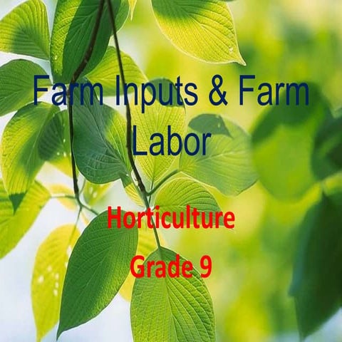 Farm inputs & farm labor | PPTX