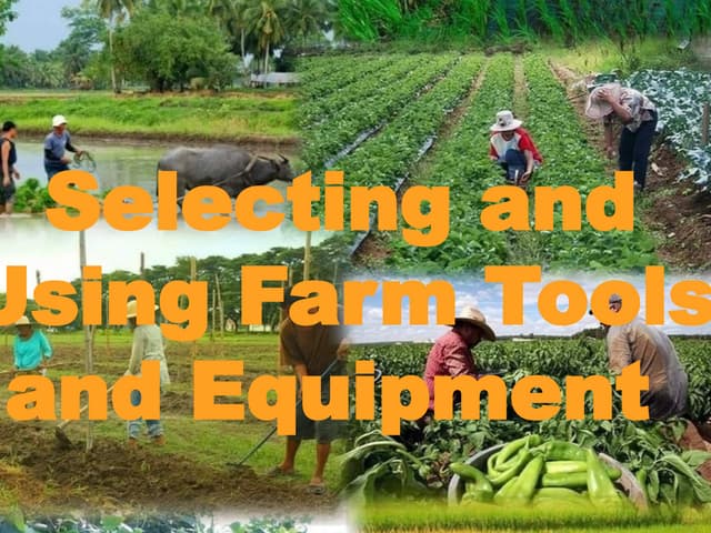 Day 3 & 4 (Agricultural Tools, Farm implements, and Farm Equipment).pptx | Agriculture | Industries