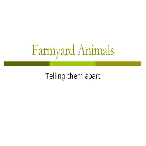 Farmyard Animals2 | PPT