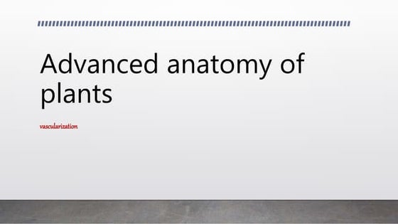 Types of stele and stelar evolution | PDF | Biological Sciences | Science