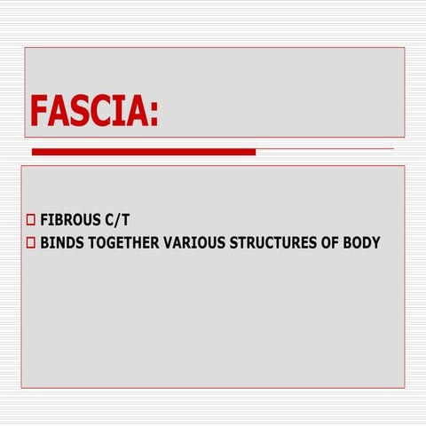 GENERAL ANATOMY OF THE FASCIAE BY DR JAMIL ANWAR | PPT