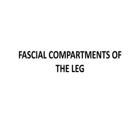 Anatomy of the anterior & lateral compartments of the leg | PPTX