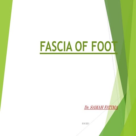 Fascia of foot | PPT