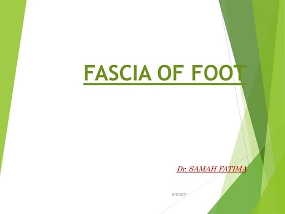 The foot | PPT