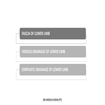 fascia of lower limb, venous drainage of lower limb, lymphatic drainage ...