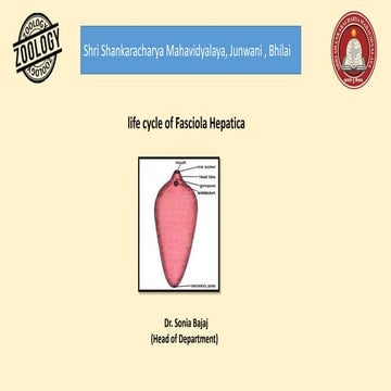 Fasciola hepatic.- complete life cycle, Different larva stages | PPTX