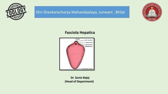 Diplozoon ppt by Mohsin Khurshid | PPT