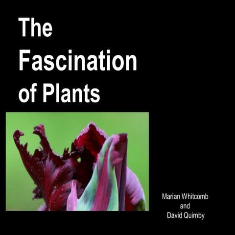 Landscaping for Wildlife | PPT