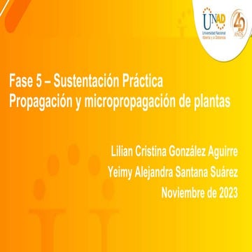 1b 4 agr (cilantrillo plateado) | DOCX