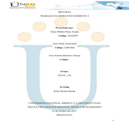 MAPICS modules and database structures | PPTX