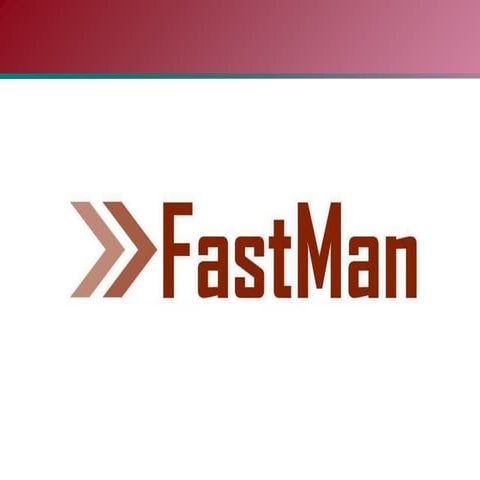 Fastman Bulk Data Manager (Business View) | PPT