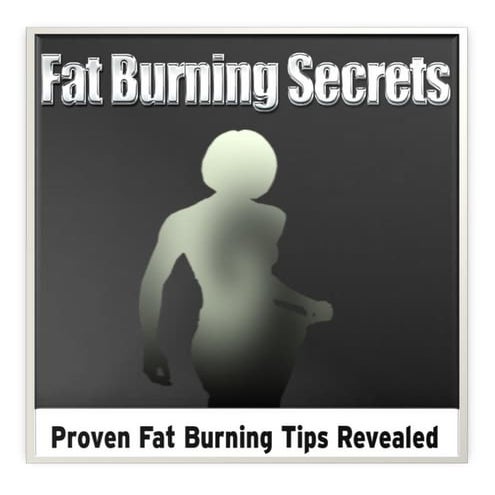Fat burning secrets | PDF