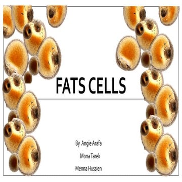 Fat cells.pdf