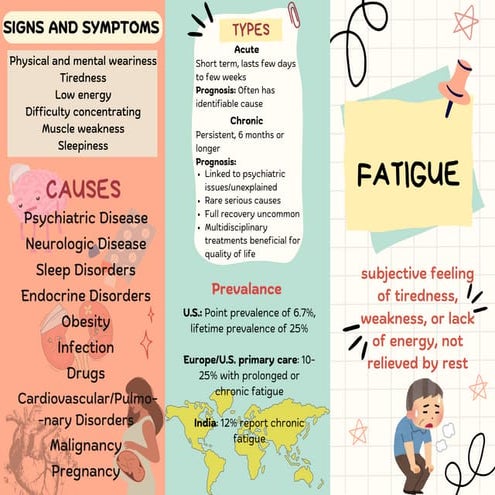 fatigue brochure.pdf Harrison internal medicine | PDF