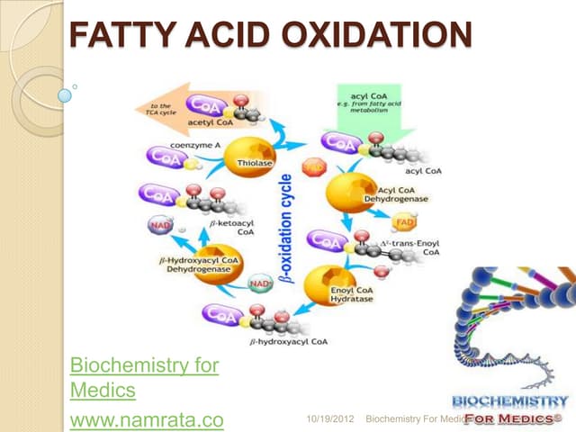INHIBITORS AND UNCOUPLERS IN ELECTRONE TRANSPORT CHAIN | PPTX