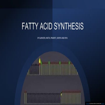 Fatty acid synthesis:- Everything you need to know | PPT