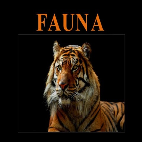 Fauna | PPS