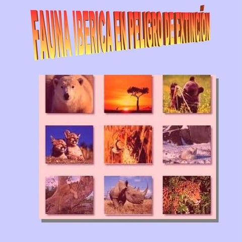 Fauna ibérica | ODP