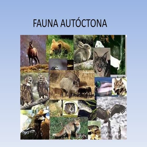 Fauna autóctona | PPTX