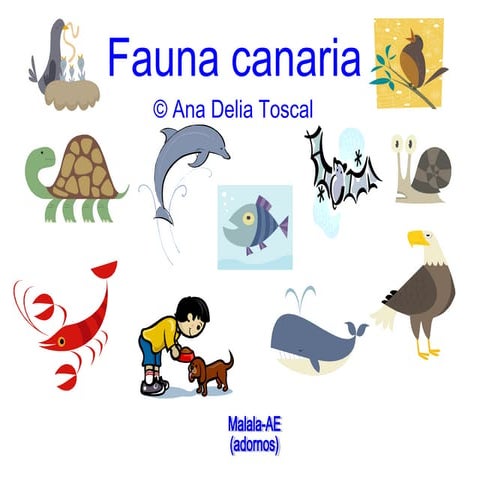 Fauna canaria | PPT