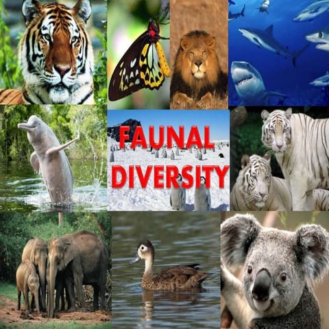 Faunal diversity | PPTX | Zoos & Aquariums | Attractions