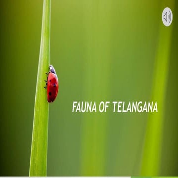 FAUNA OF TELANGANA Main presentation.pptx