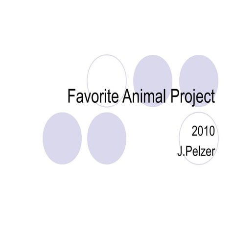Favorite animal project | PPT