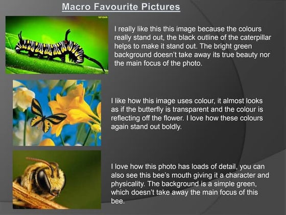 Factual media collage | DOCX