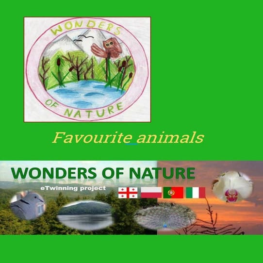 Favourite animals | PPTX