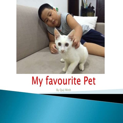 My favourite Pet | PPTX