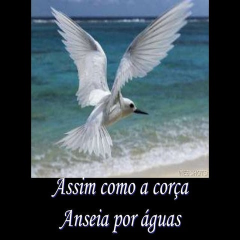 Faz chover(fernandinho)(i) | PPT